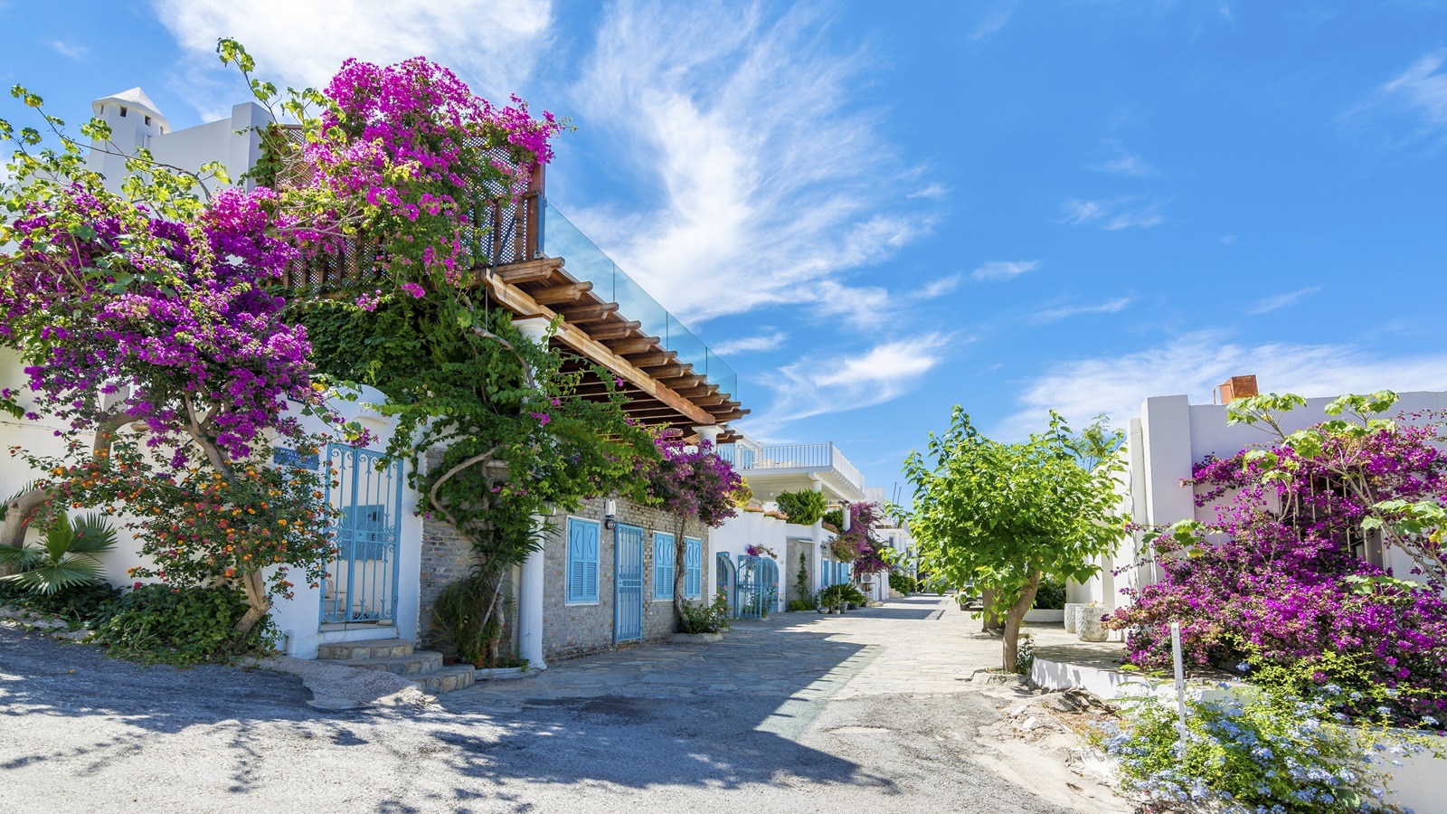 Tatil Rehberi - Avesta Travel